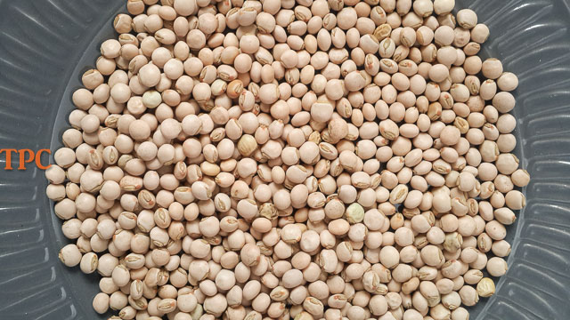 fiofio w-1 - The Pretend Chef